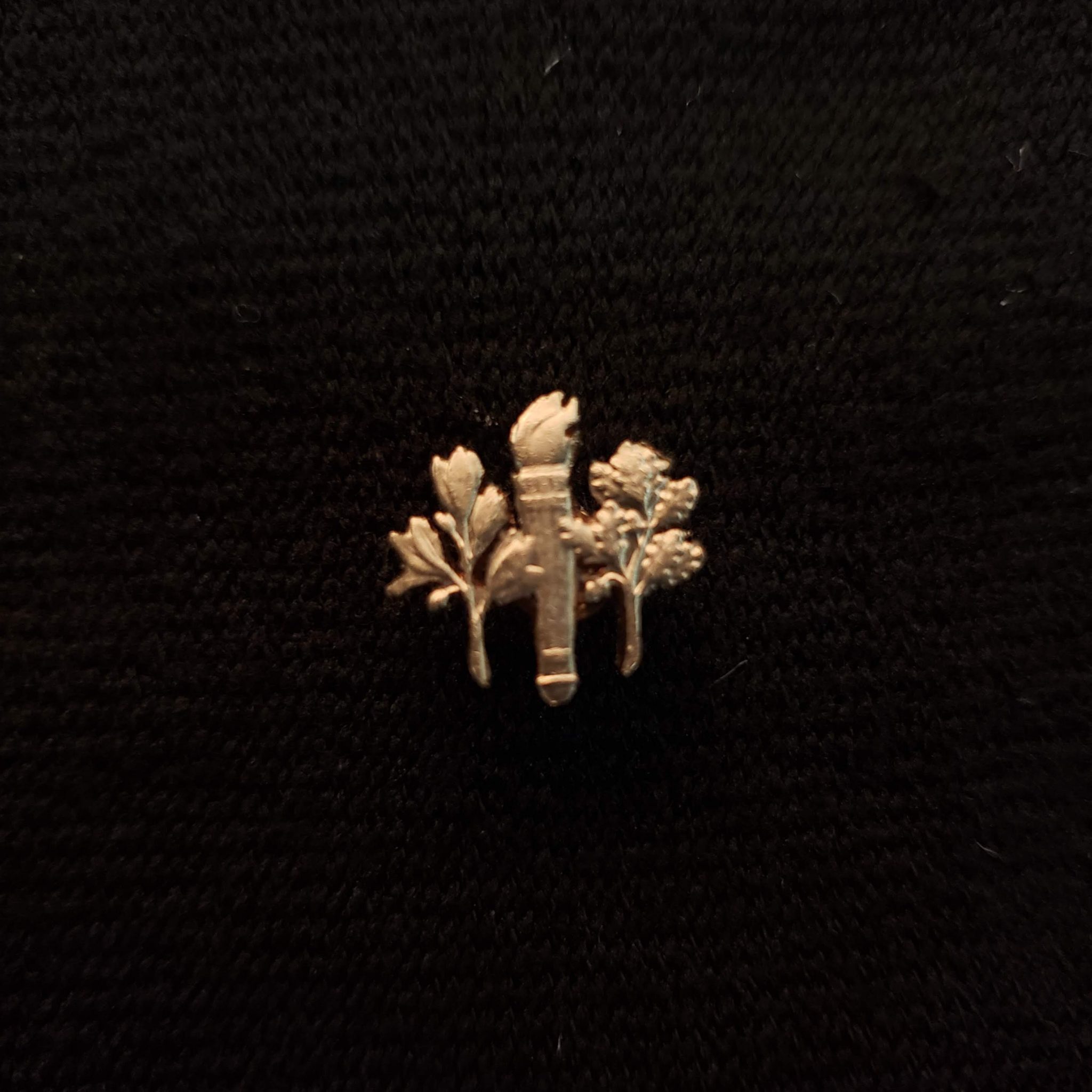 Torch and Branch Dime Pin – Wearable Change